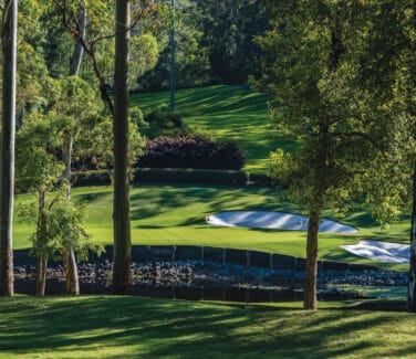Australia’s Favourite Golf Course - Bonville Golf