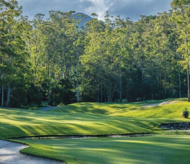 Australia’s Favourite Golf Course - Bonville Golf