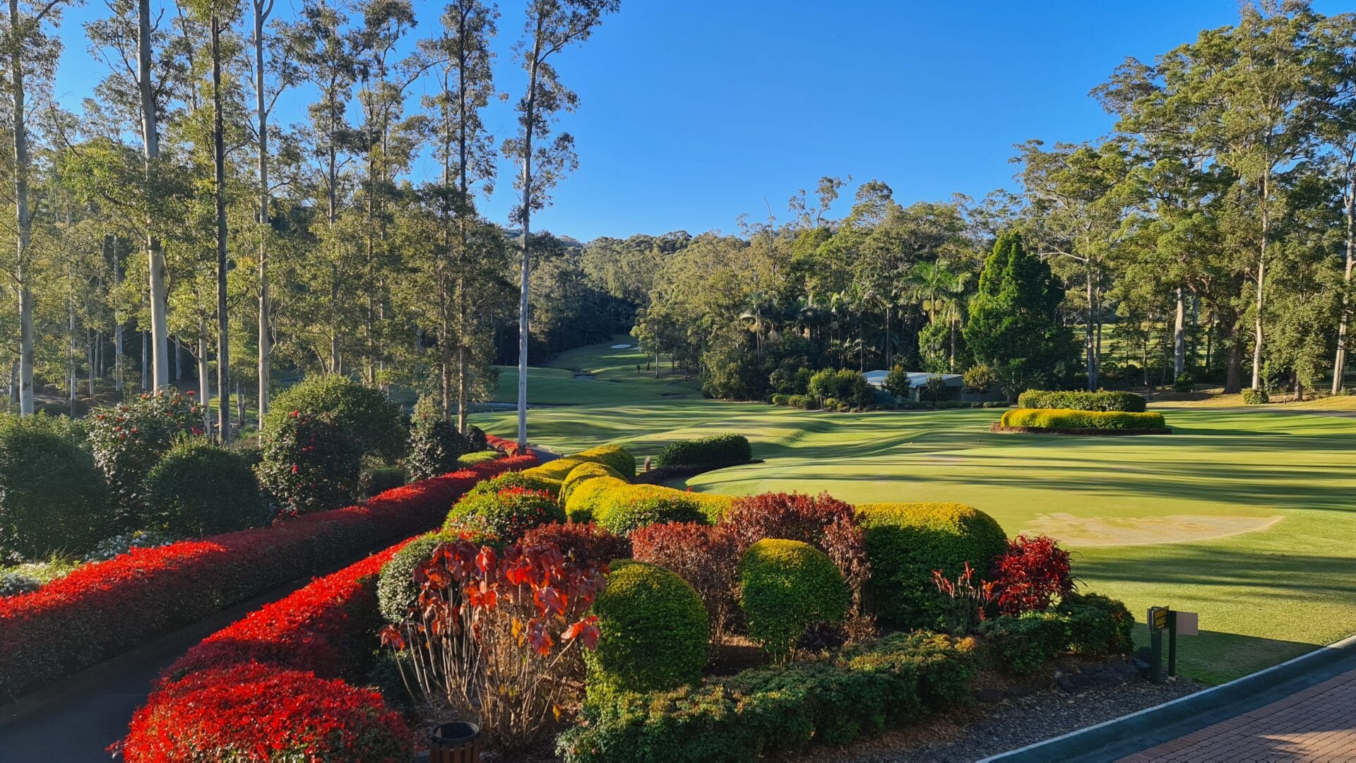 Members - Bonville Golf