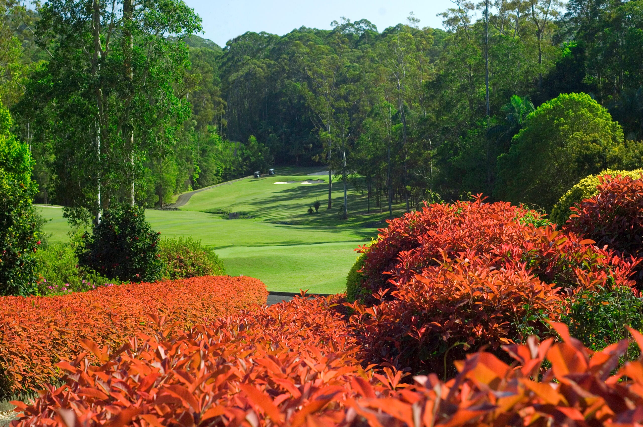 2025 Winter Mixed Pairs Invitational - Bonville Golf